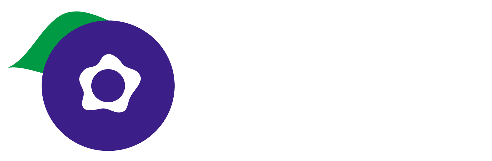 ブルーベリーファクトリー岐阜